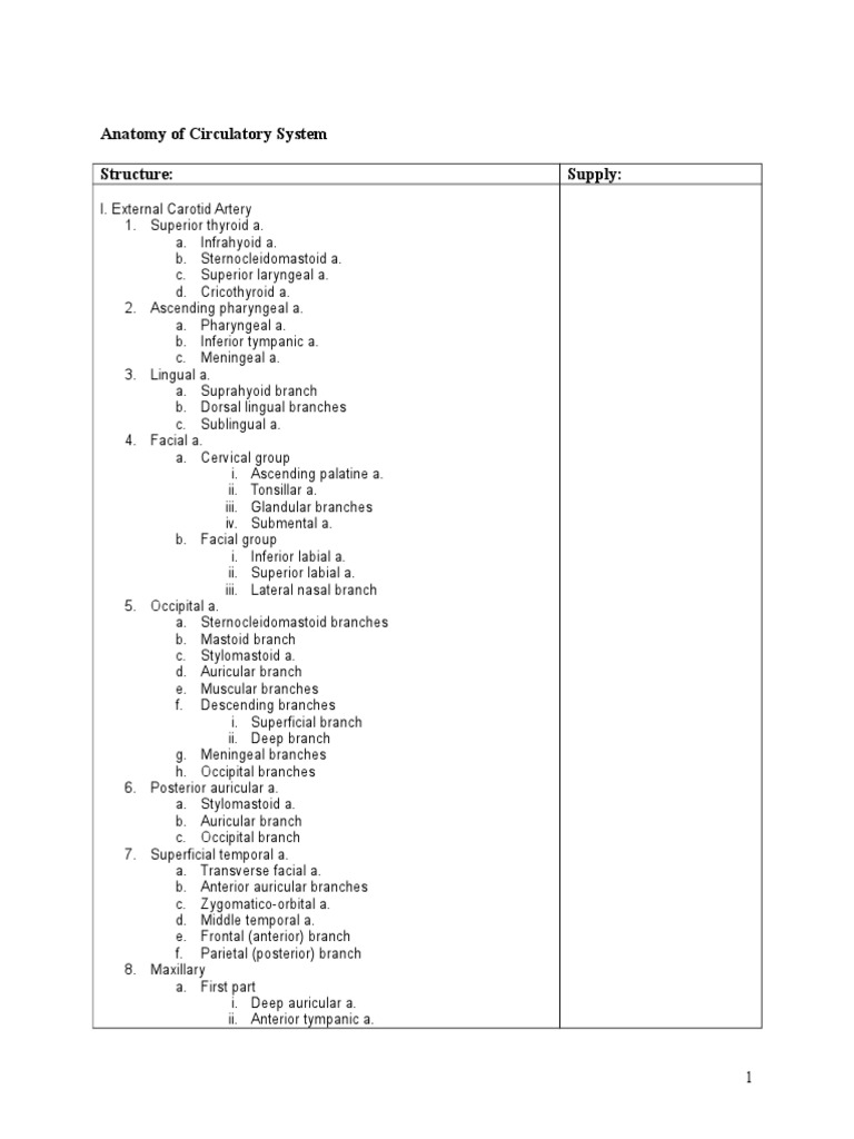 Arteries & Circulation (Guyton, Chapter 14-16) | PDF | Capillary | Blood Vessel