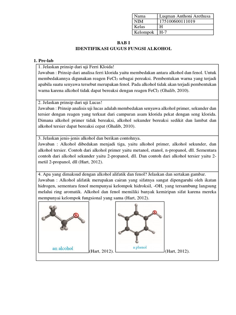 Identifikasi Gugus Fungsi Alkohol | PDF