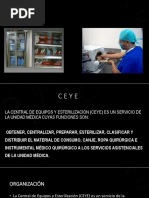 Areas de CEYE | PDF