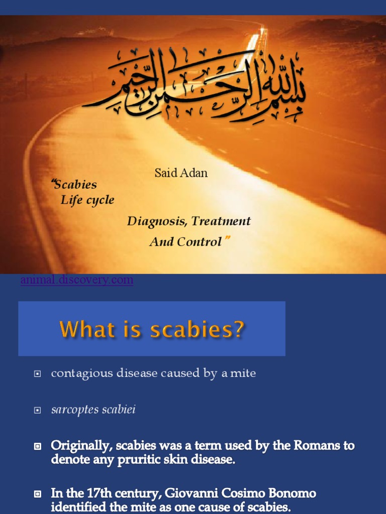Scabies Life Cycle Diagnosis, Treatment and Control: Said Adan | PDF