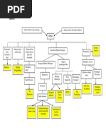 Pathway Ileus Paralitik | PDF