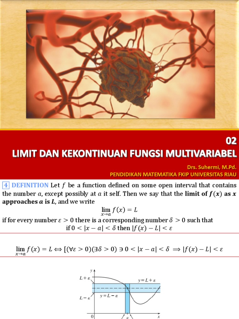 Limit Dan Kekontinuan Fungsi Multivariabel | PDF