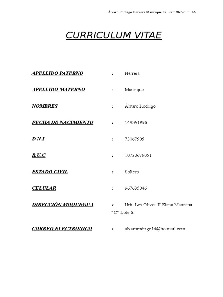 Curriculum Rodrigo | PDF