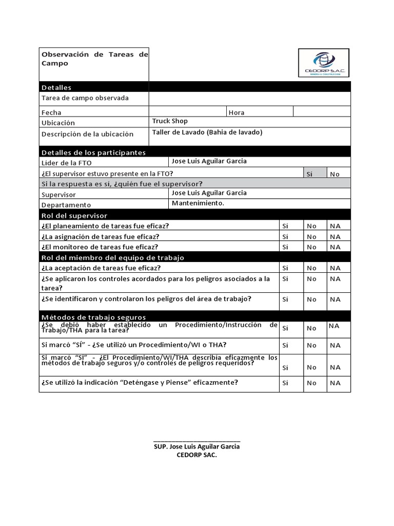 Formato Field Task Observation-Spanish (FTO) | PDF | Informática y ...