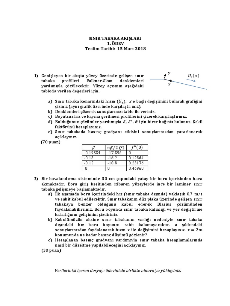 Sinir Tabaka Akişlari-Odev1 | PDF