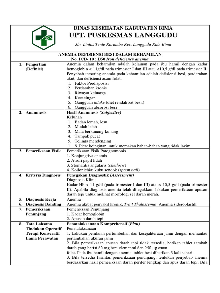 PPK Anemia Dalam Kehamilan | PDF
