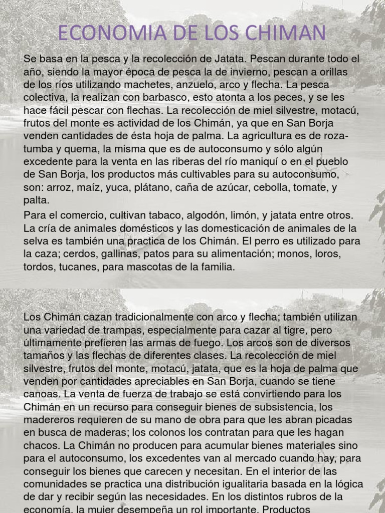Economia de Los Chiman | PDF | Comida y bebida | Cocina