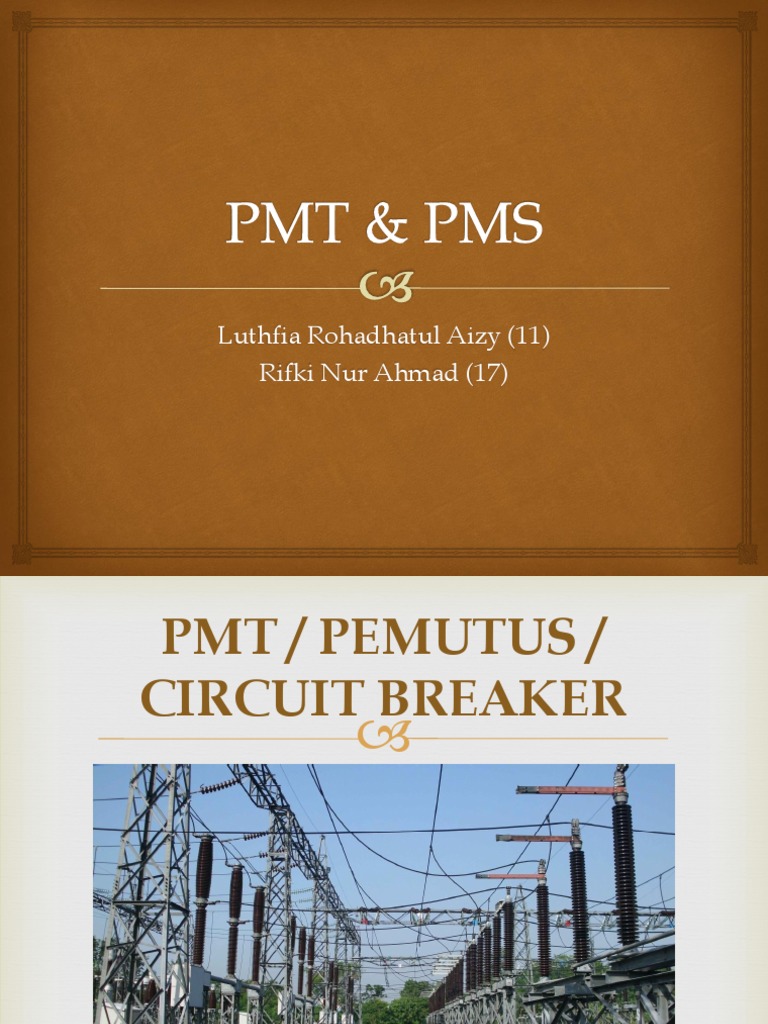 Presentasi PMT & PMS | PDF | Sains & Matematika