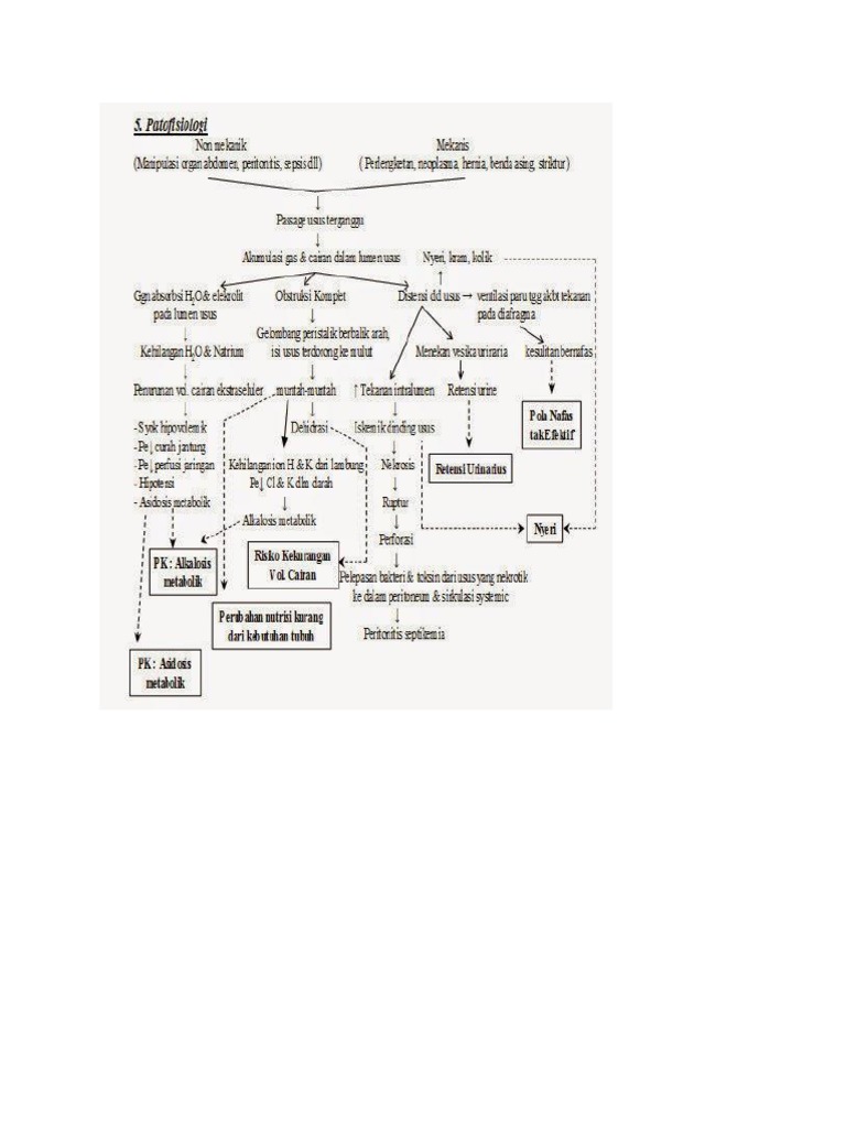 Pathway Ileus Obstruktif | PDF