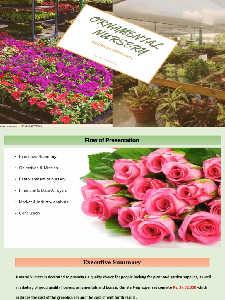 Horti Nursery B Plan | PDF | Market Analysis | Plant Nursery