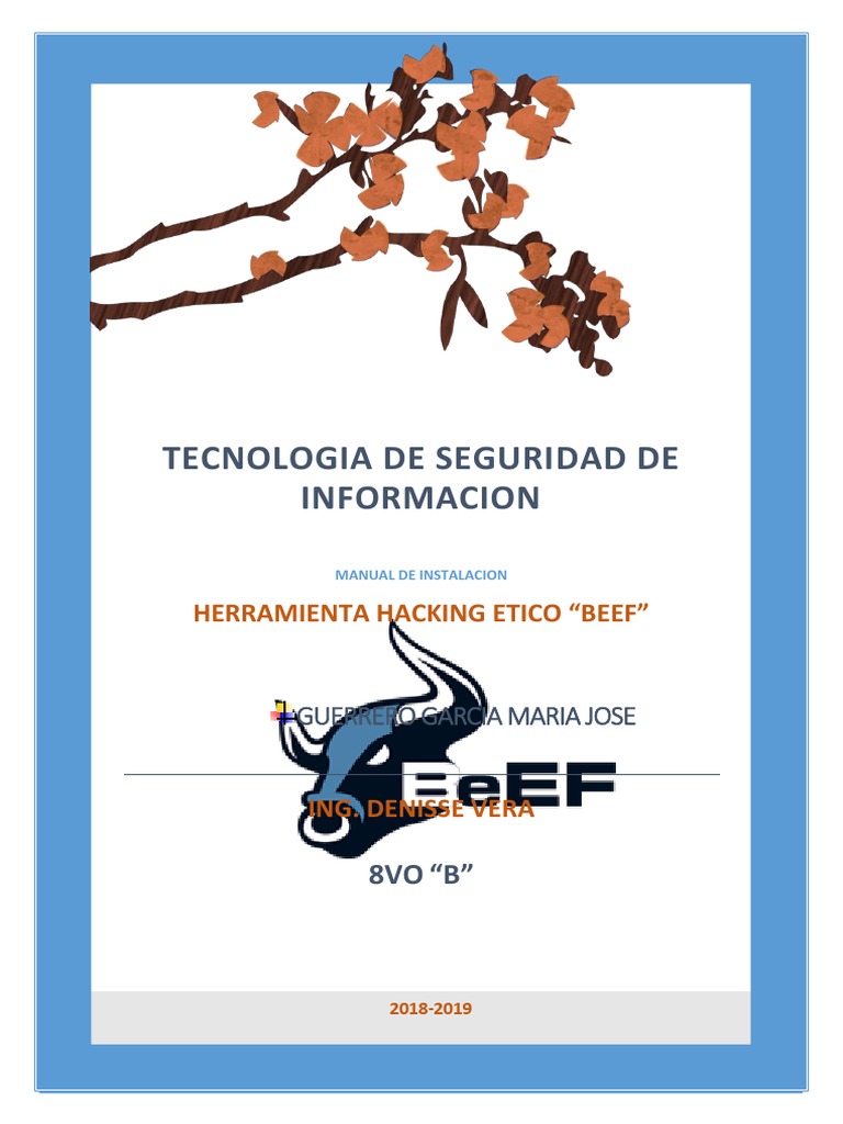Instalacion Herramienta Beef Hacking Etico 8B PDF | PDF | Interfaz de ...