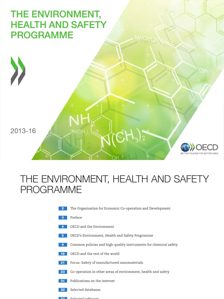 Environment Health Safety Brochure PDF | PDF | Nanotechnology | Risk
