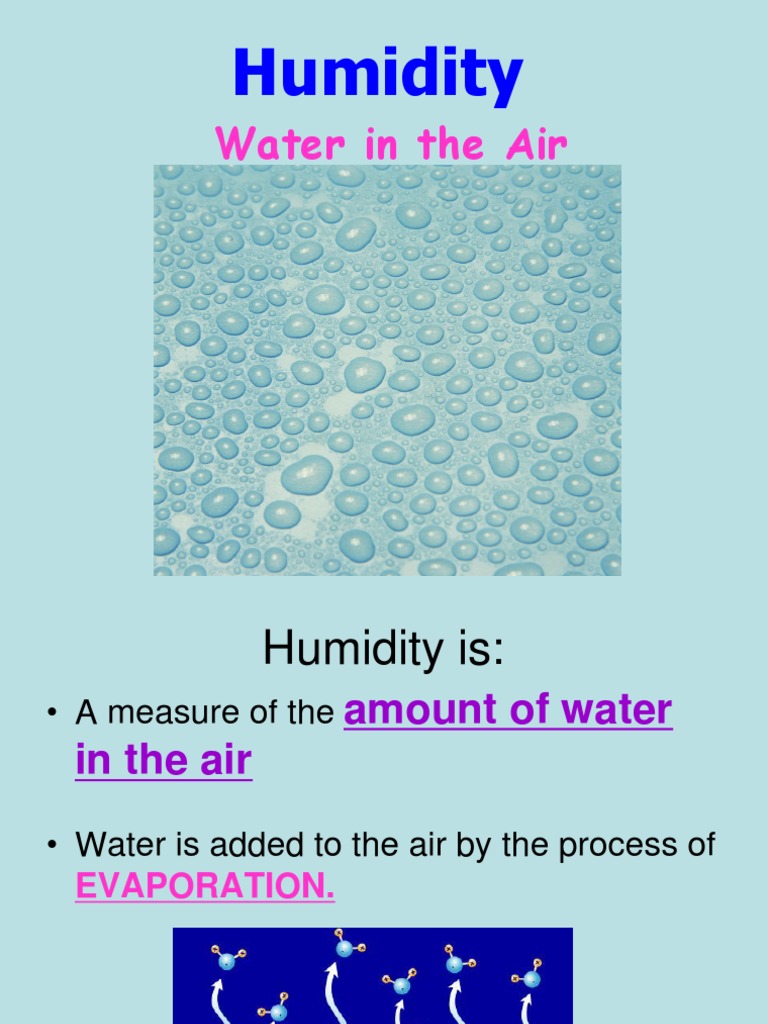 Humidity 1 1328918044 | PDF | Humidity | Relative Humidity