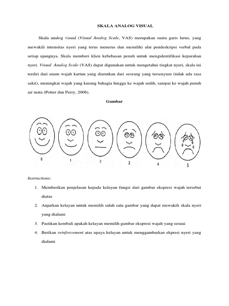 Panduan Penggunaan Skala Analog Visual | PDF