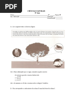 FT - Modelado Carsico | PDF | Geociências | Rochas