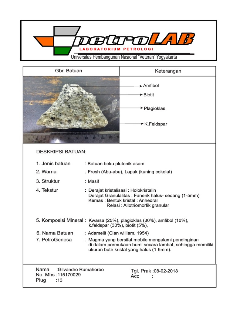 Deskrip Petro 2 | PDF