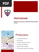 ACTIVITY Protist Dichotomous Key Activity | PDF | Biology | Cell Anatomy