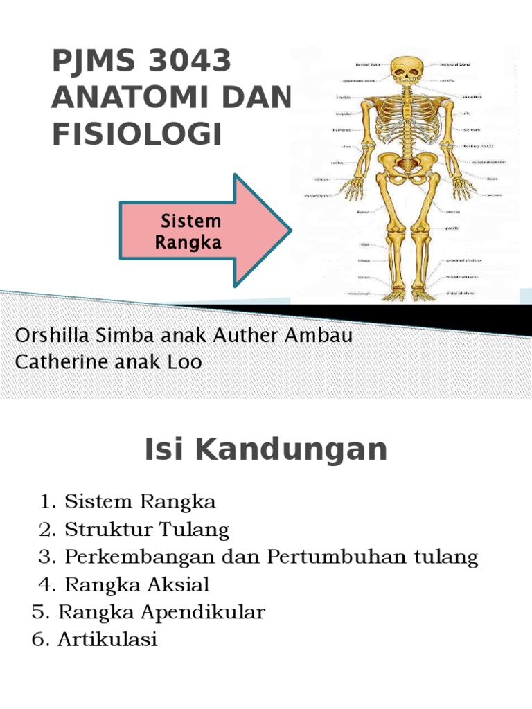 01 PJMS Sistem Rangka3043.Pptx Sistem Rangka | PDF