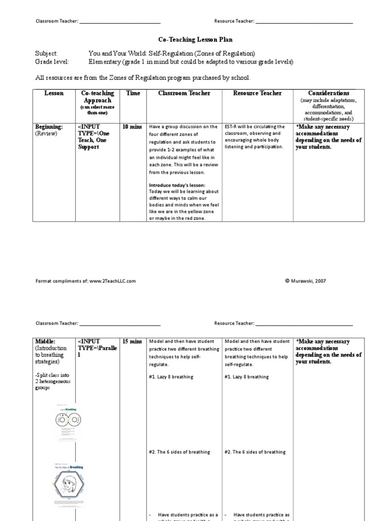 Self-Regulation Lesson Plan | PDF | Classroom | Lesson Plan