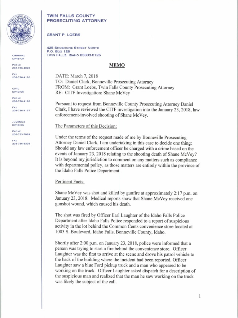 Critical Incident Task Force Investigation: Shane McVey | PDF | Assault ...