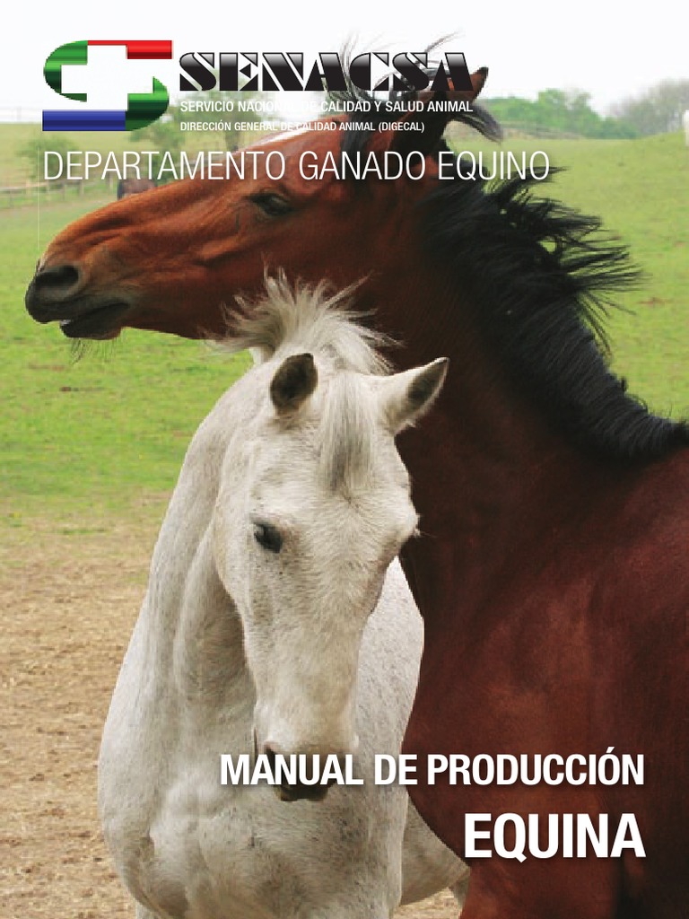 Manual Equinos PDF | PDF | Hogar, jardinería y bricolaje | Salud y bienestar
