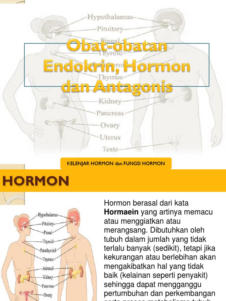 Hormon Dan Obat-Obat Sistem Endokrin | PDF