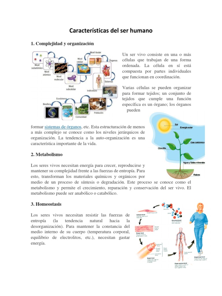 Características Del Ser Humano | PDF | Metabolismo | Organismos