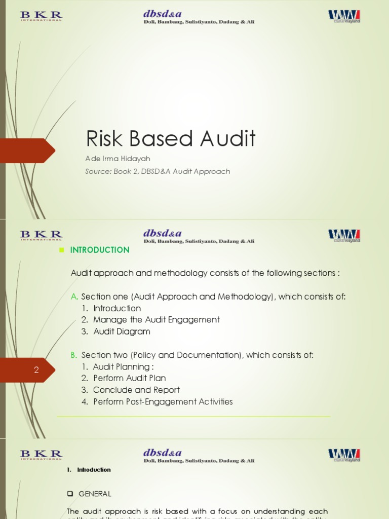 Risk Based Audit | PDF | Financial Audit | Audit