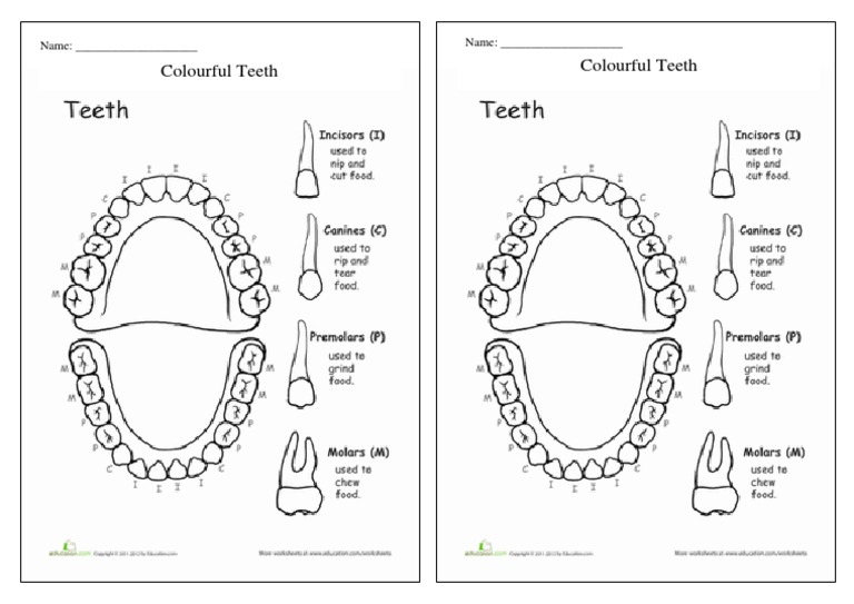 Colourful Teeth Colourful Teeth: Name: - Name | PDF