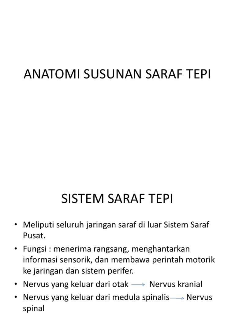 Anatomi dan Struktur Sistem Saraf Tepi | PDF