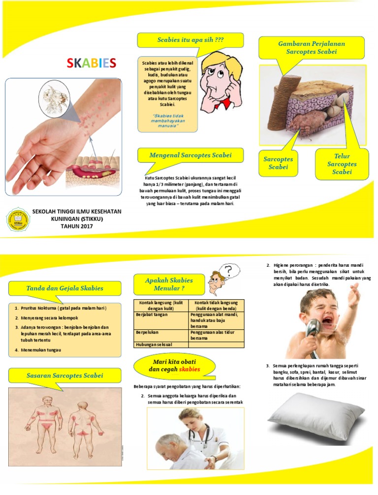 Leaflet Skabies | PDF