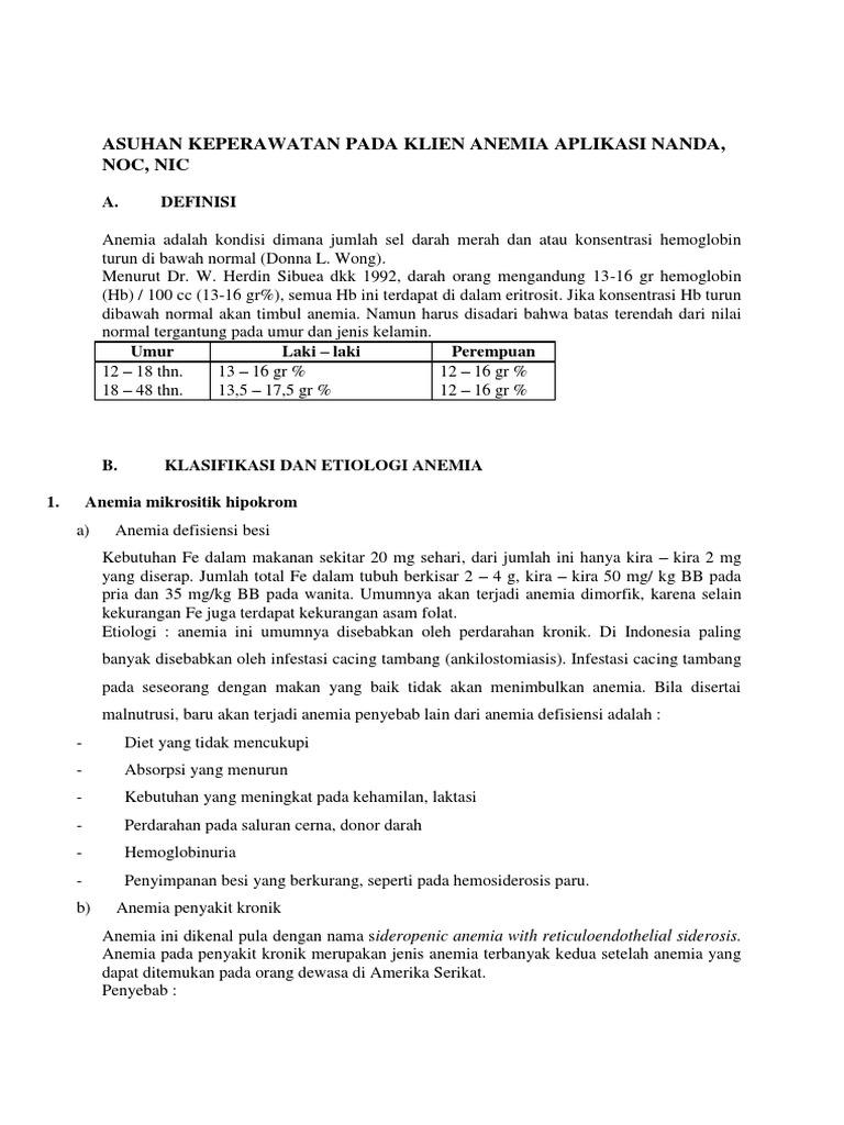 Askep Anemia Nanda Nic Noc Pita | PDF
