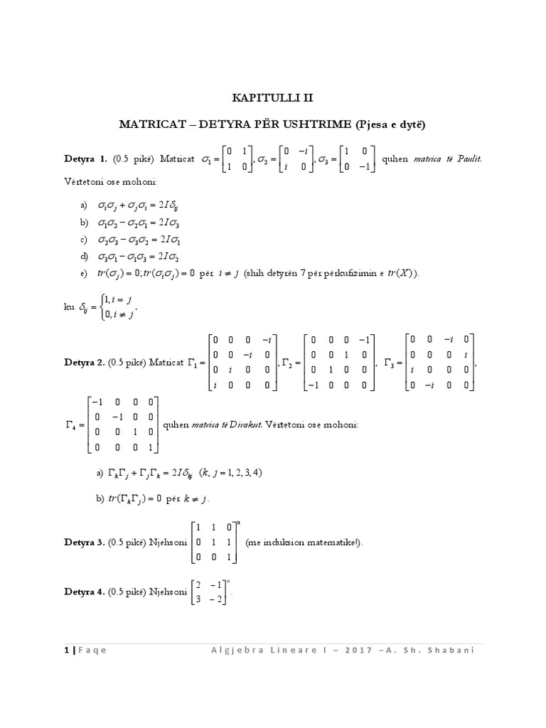Matricat - Detyra Per Ushtrime | PDF