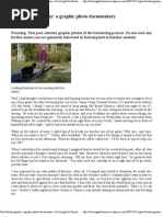 Rammed Earth: Design and Construction Guidelines: Peter Walker, Rowland ...