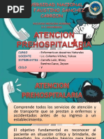 Algoritmo START para Triage Prehospitalario | PDF | Traumatologia ...