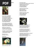 Cancion Torito Pinto | PDF