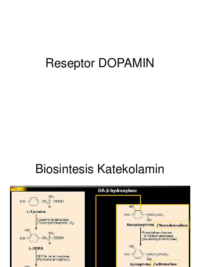 Reseptor Dopamin | PDF
