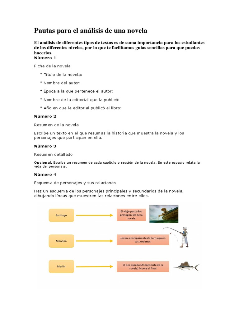Pauta para El Análisis de Una Novela | PDF