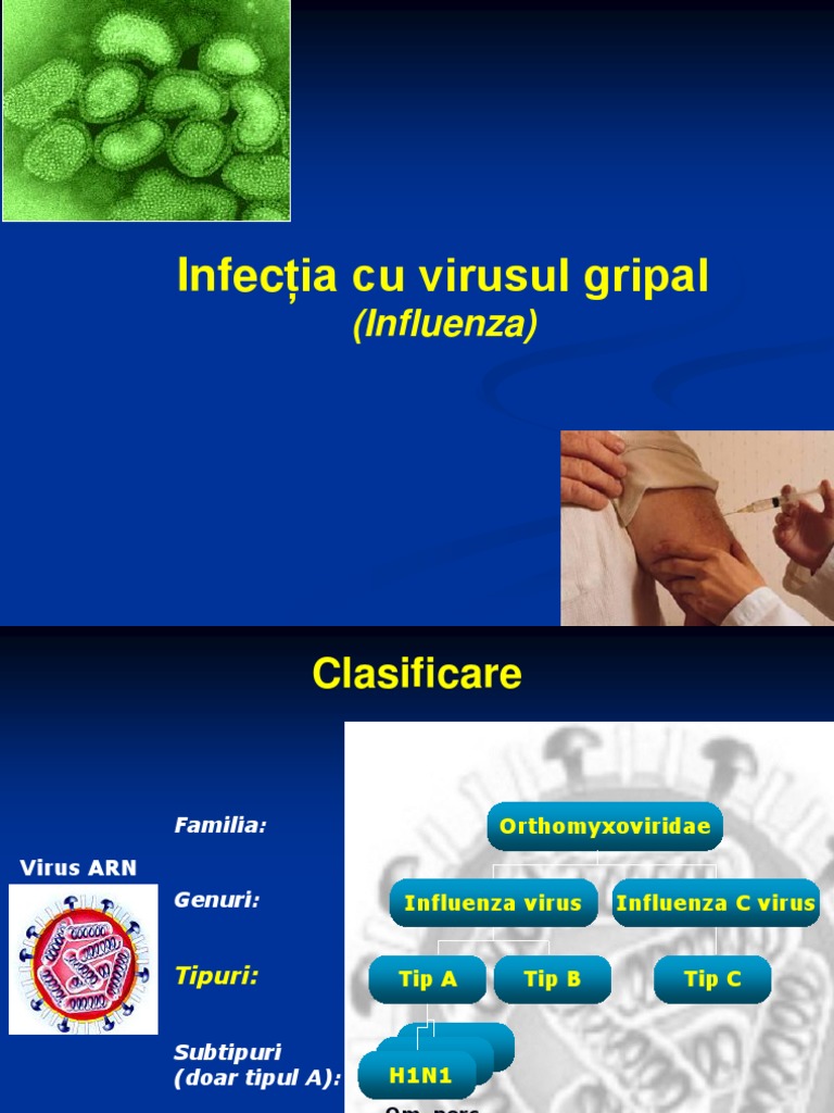 Curs 1. Gripa - 2012 - 2013 | PDF