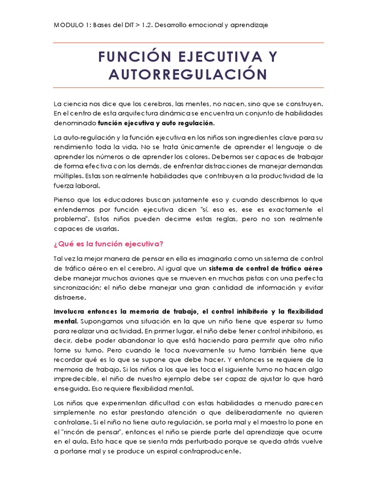 Función Ejecutiva y Autorregulación | PDF | Cerebro | Funciones ejecutivas