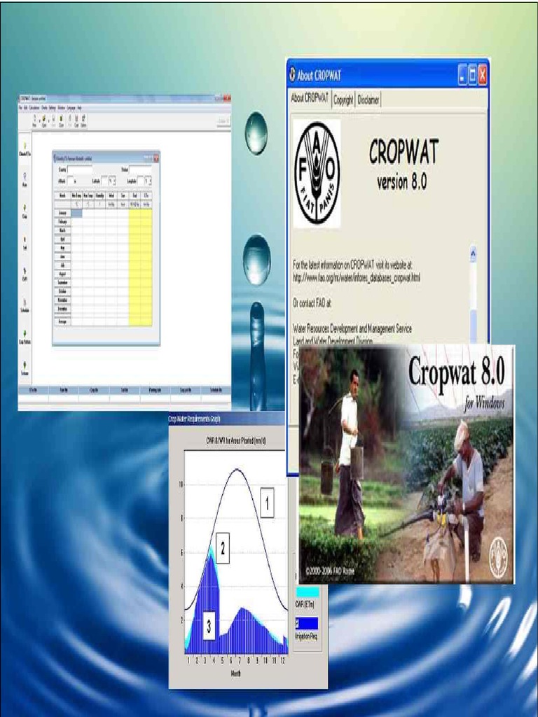 Irrigaciones - Cropwat 8.0 | PDF | Evapotranspiración | Earth Sciences