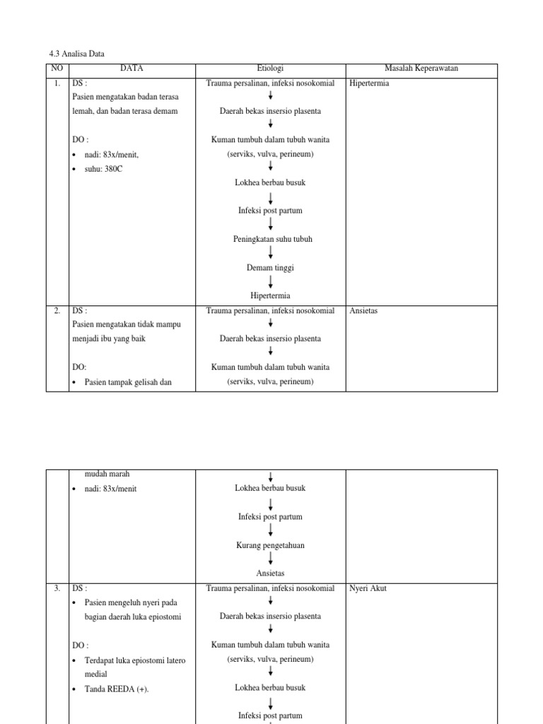 Intervensi & Analisa Data Infeksi Pasca Partum | PDF