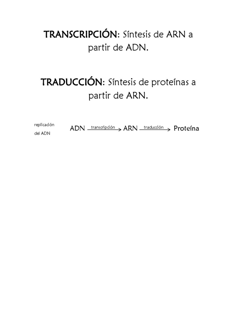 TRANSCRIPCIÓN | PDF