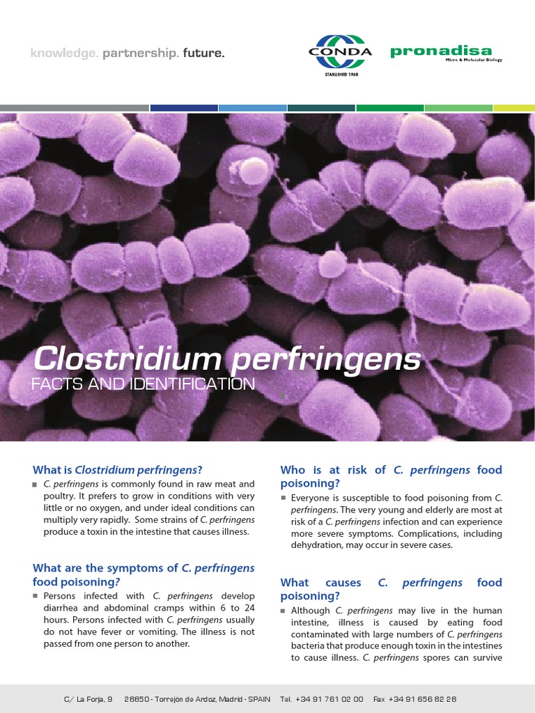 C Perfringens | PDF | Diseases And Disorders | Microbiology