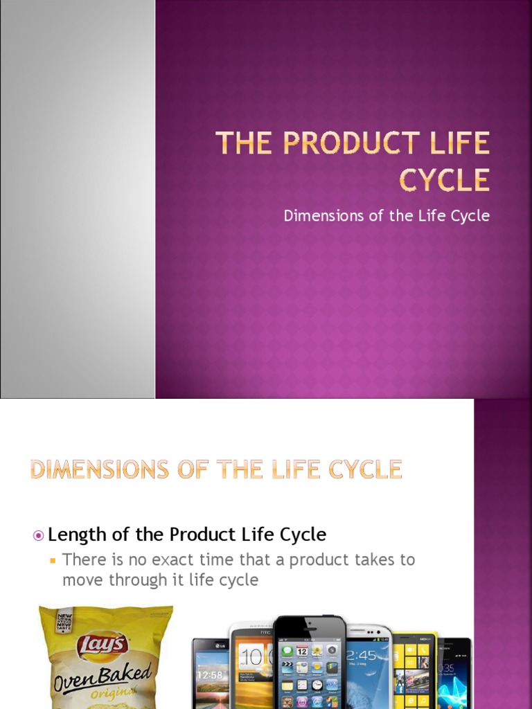 The Product Life Cycle - Final | PDF