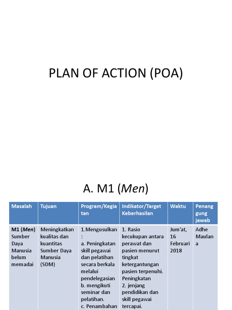 Plan of Action (Poa) | PDF