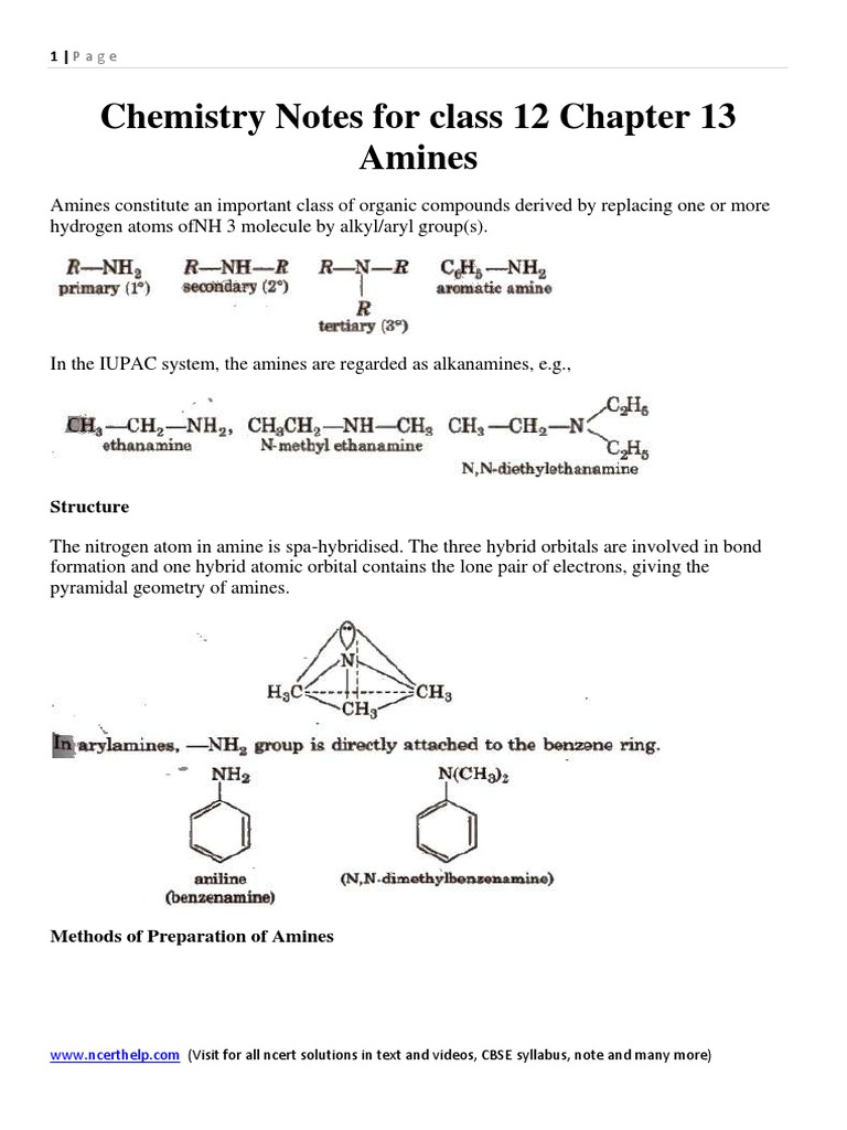 Chemistry Notes For Class 12 Chapter 13 Amines Pdf Pdf Amine