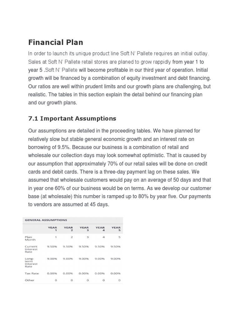 Financial Plan: 7.1 Important Assumptions | PDF | Retail | Margin (Finance)