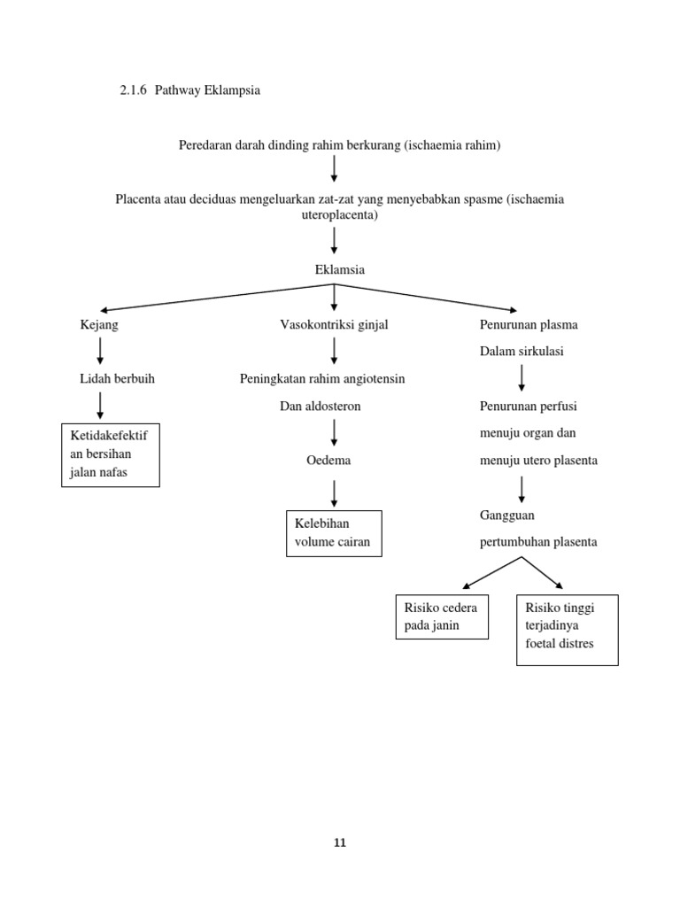 Pathway Eklampsia pada Ibu Hamil | PDF