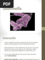 EHQMS Process Matrix | PDF | Iso 9000 | Internal Audit